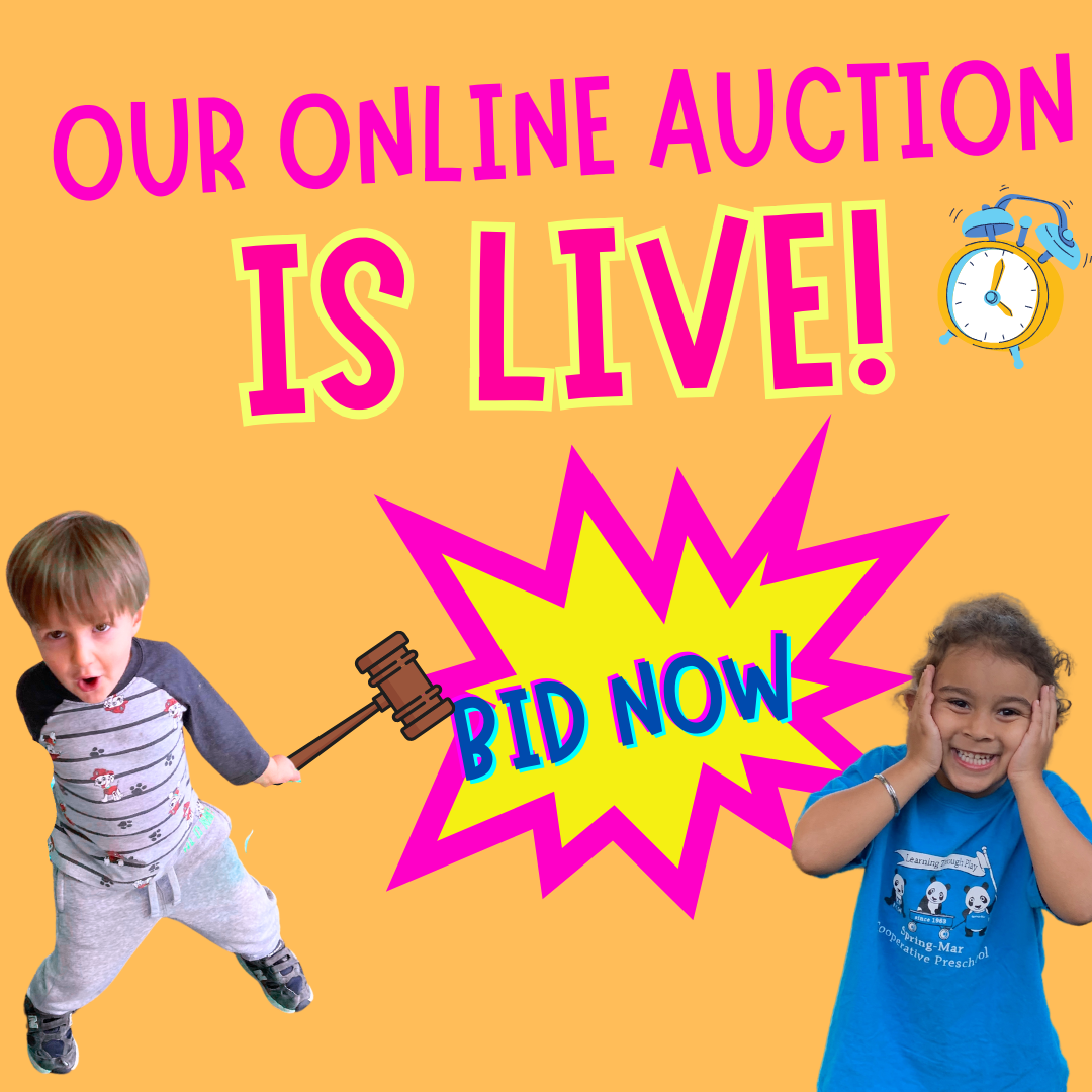 Spring-Mar Cooperative Preschool – Learning through play